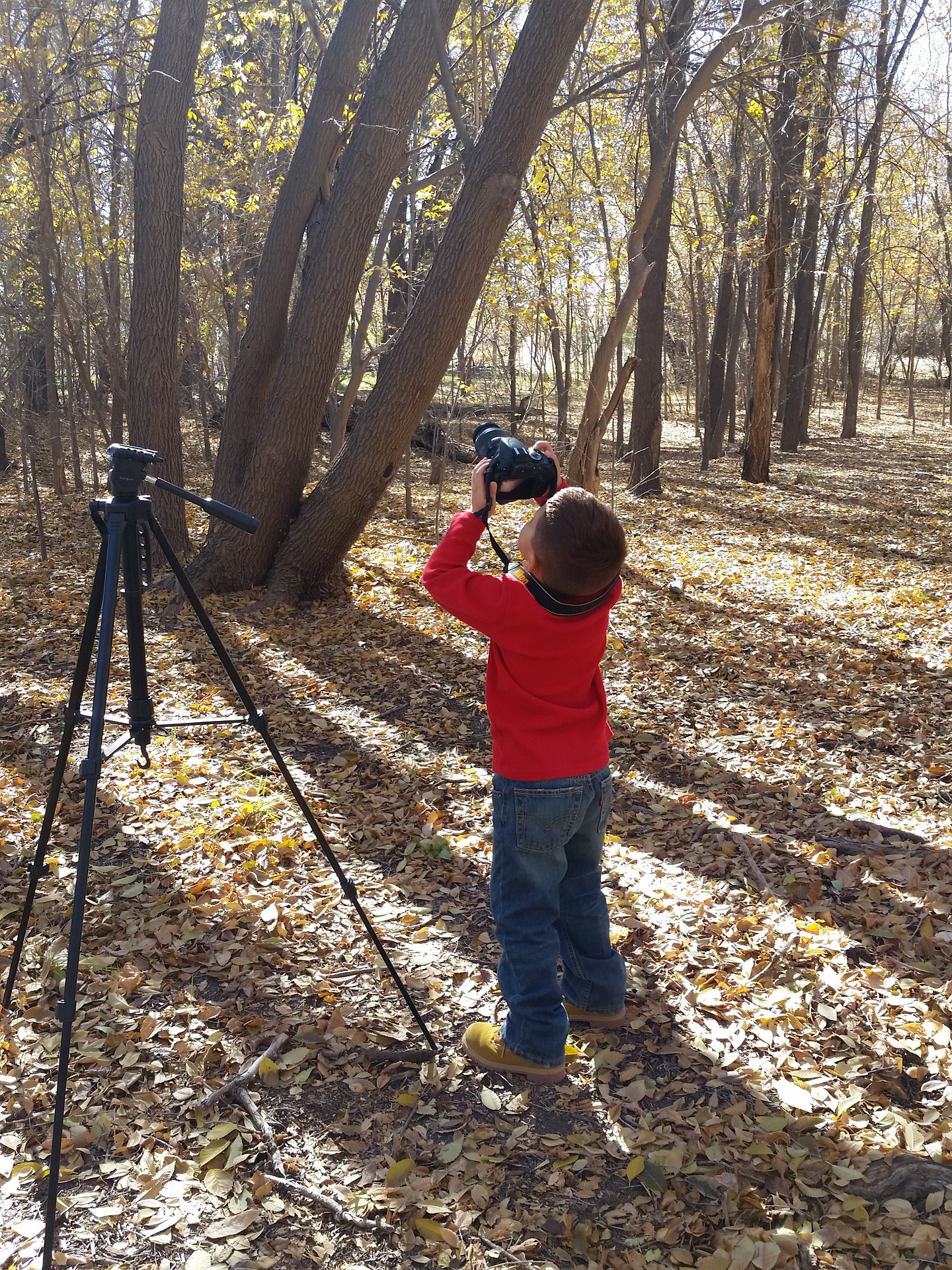 Up Your Photography Skills Through Learning - Techtography